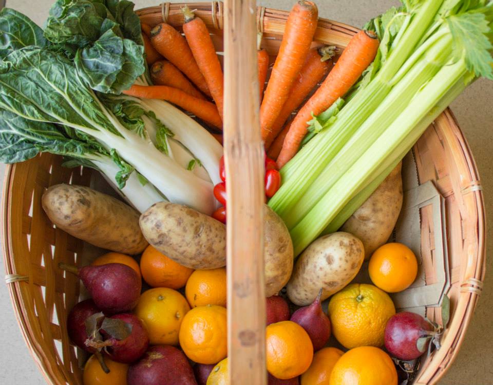 4 Reasons to Include More Veggies in Your Diet | Project Open Hand